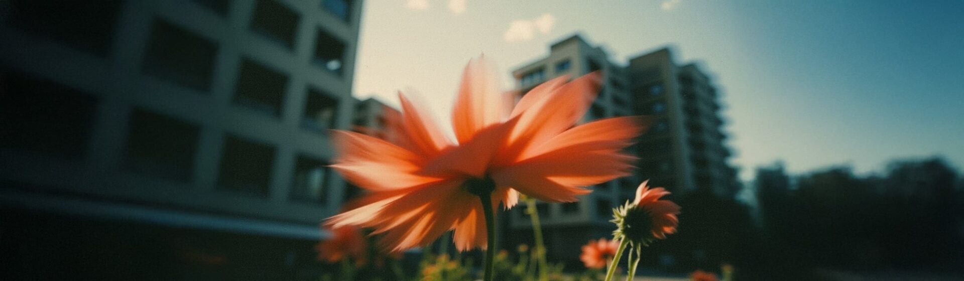 The Leonardo Creator Program | Leonardo AI